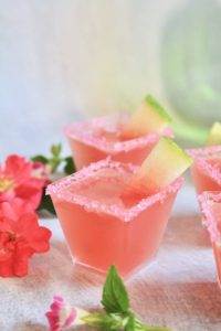 Pretty Little Pink Watermelon Vodka Shots