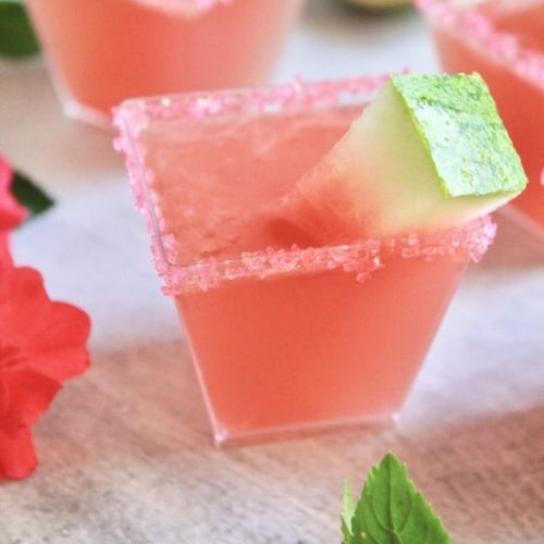 Pretty Little Pink Watermelon Vodka Shots
