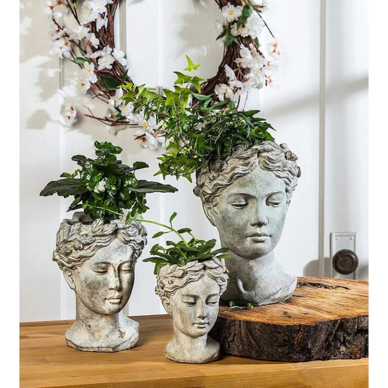 13 Plants for Head Planters That Bring Bold Style