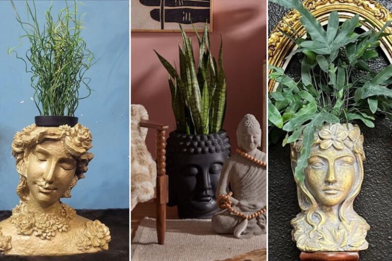 13 Plants for Head Planters That Bring Bold Style
